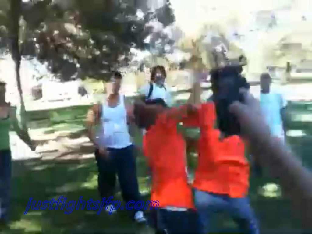 Mariposa (JFP 19002) – Just Fights JFP